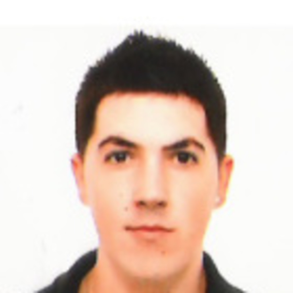 David Martin Rodriguez - Oficial 2ª - Pinturas 3B | XING