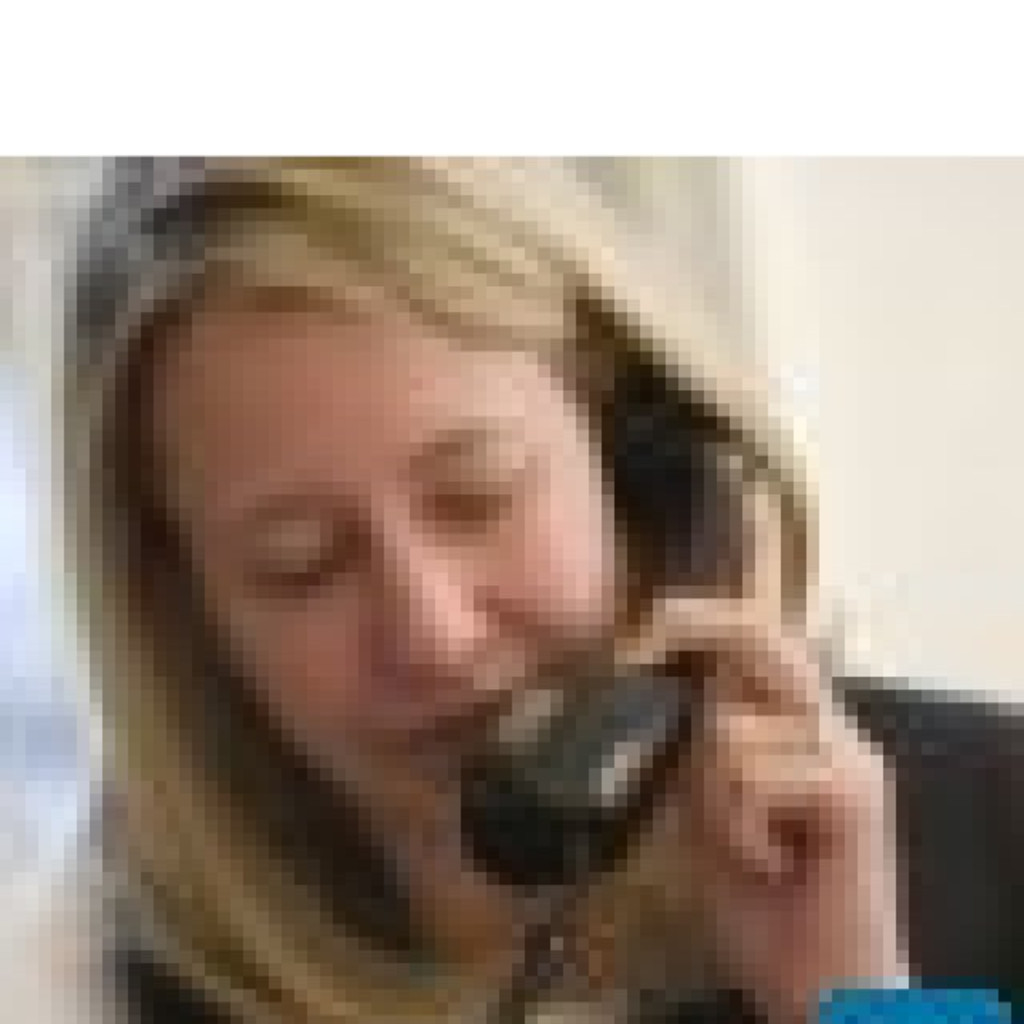 Lisa M Nousek - Partner - Boies, Schiller & Flexner LLP | XING