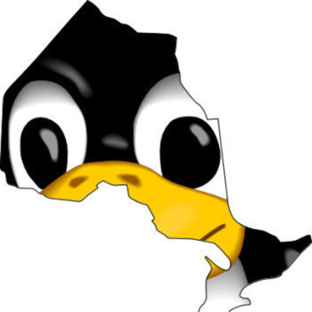 Dominic Kohls - Berufsausbildung - Georg-Simon-Ohm-Berufskolleg | XING