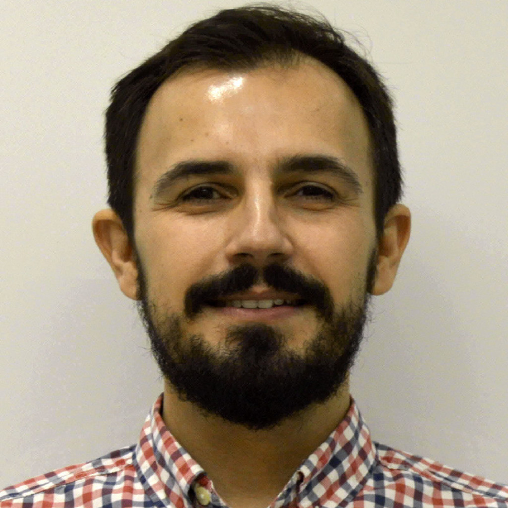 Dipl.-Ing. Igor Milovanovic - Principal Software Engineer - Workday | XING