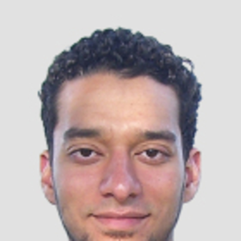 Islam Adel - Architect / Engineer - TU-Darmstadt | XING