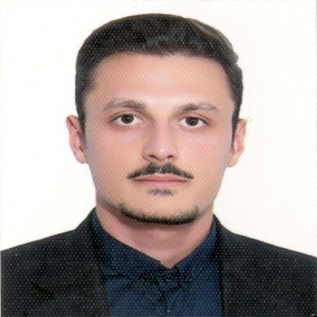 mahdi karimi - Assistant CEO - Viranetworks | XING