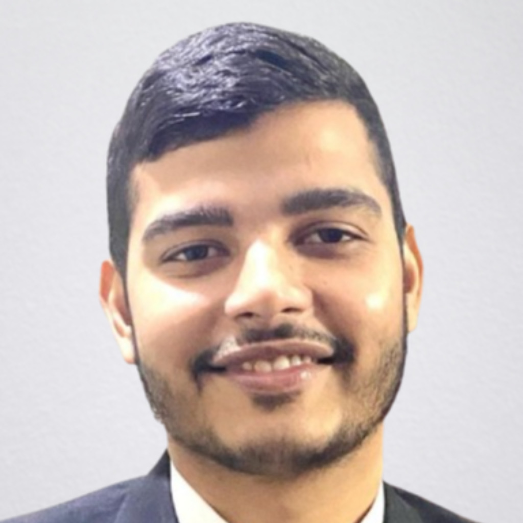 Syed Muhammad Hamza Raza - Software Engineer - BEEBUCKET GmbH | XING