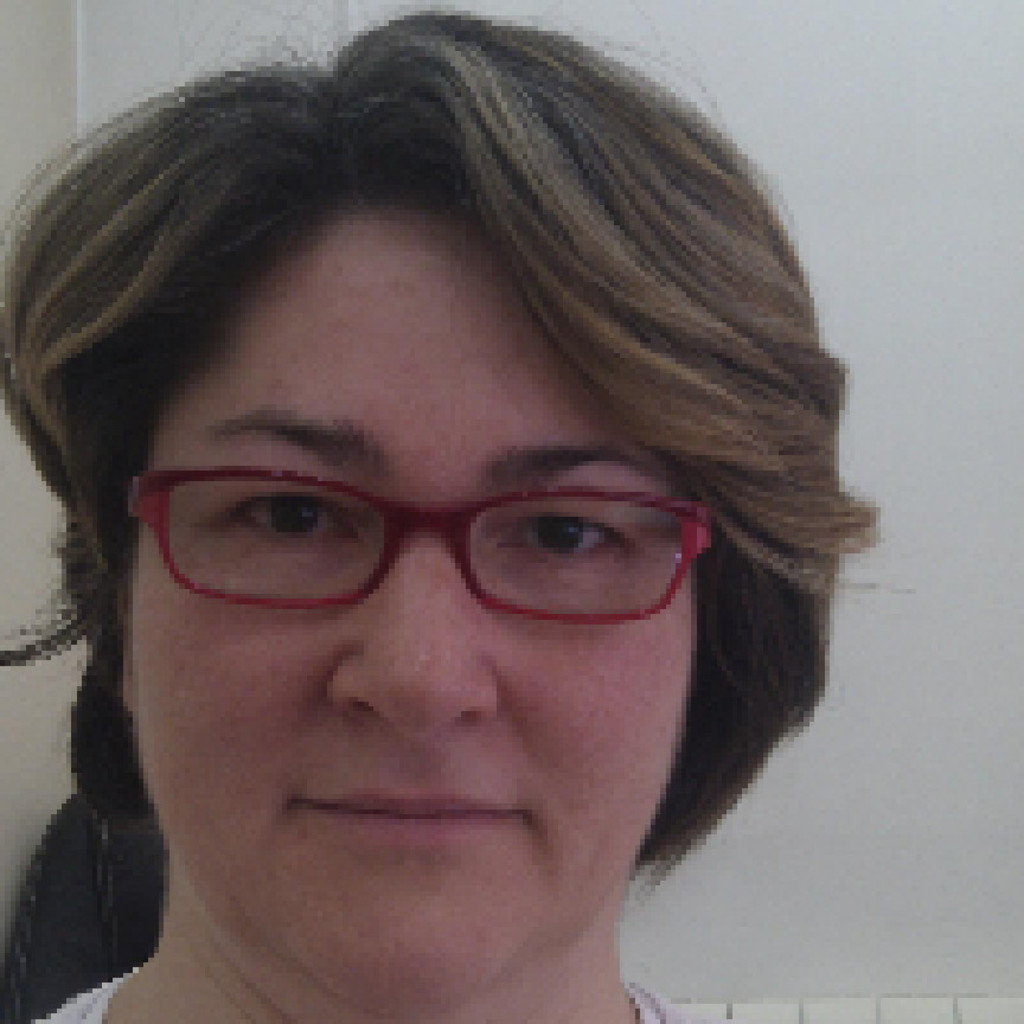 Dipl.-Ing. Jelena Zavisic - Project Manager - Via Ocel d.o.o | XING