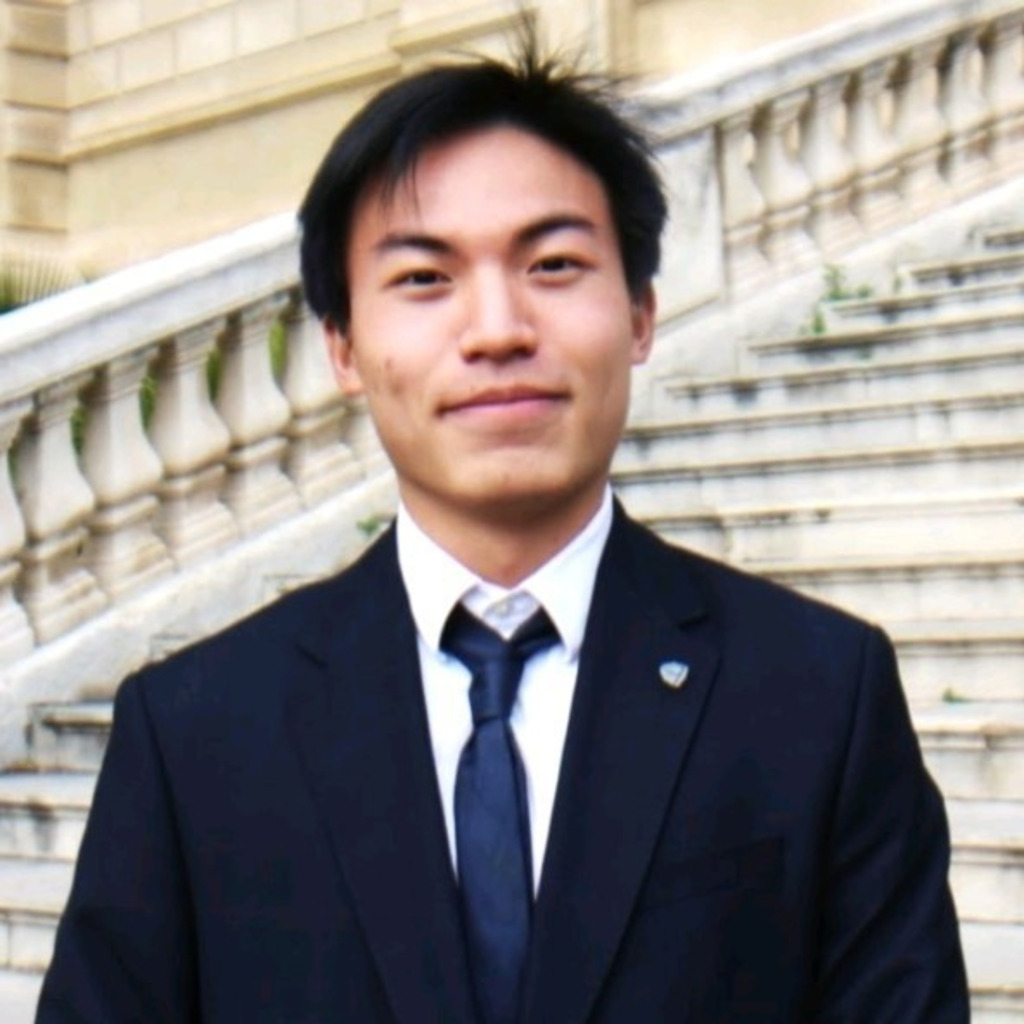 Henri Taing - Management Consultant - CGI | XING