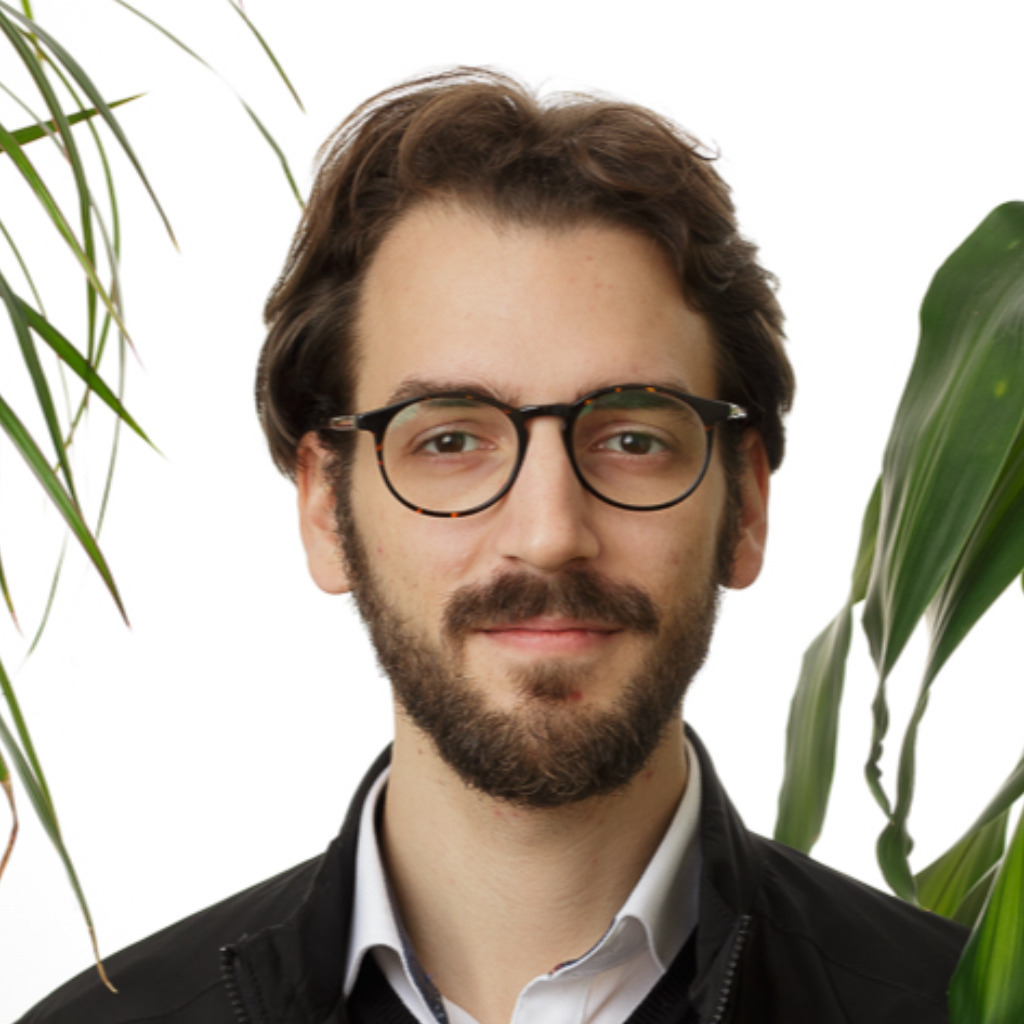 Thomas Ebenstein - Chief Technology Officer (CTO) - ESG Plus GmbH | XING