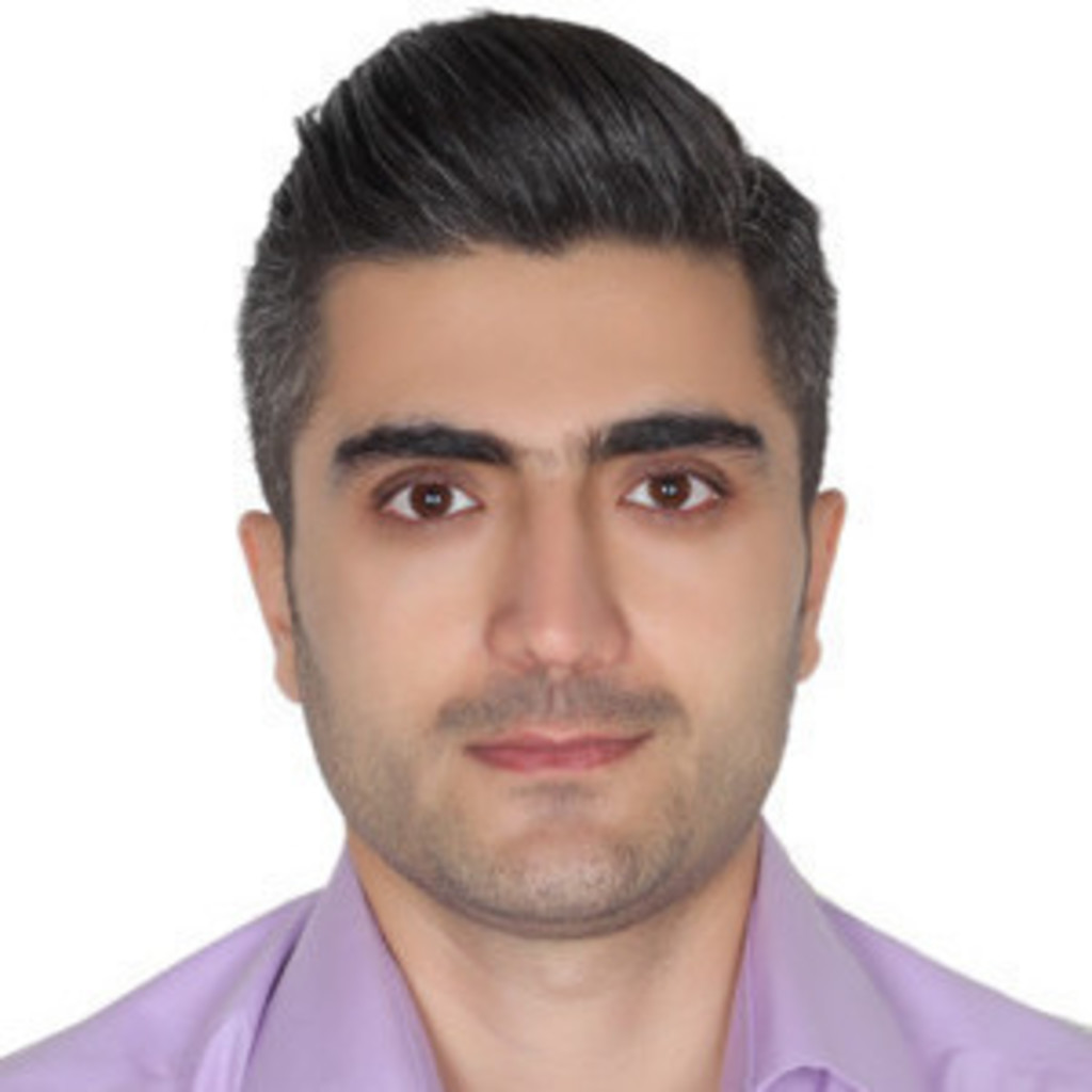 Massoud Afrashteh - Lead Software Engineer - Tecnotree | XING
