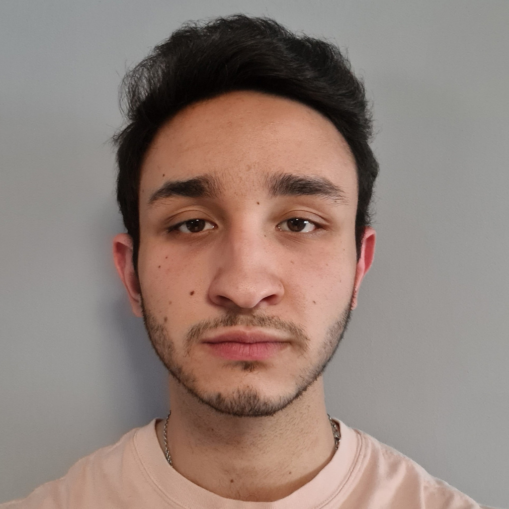 David Popescu - Schüler - Schönborn-Gymnasium Bruchsal | XING