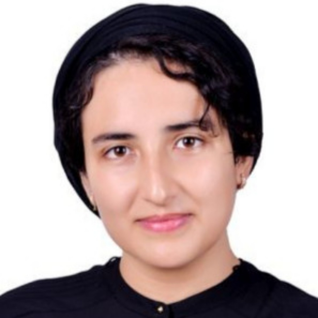 Halima El idrissi El wali - ICEM surf Class A consultant - Capgemini ...