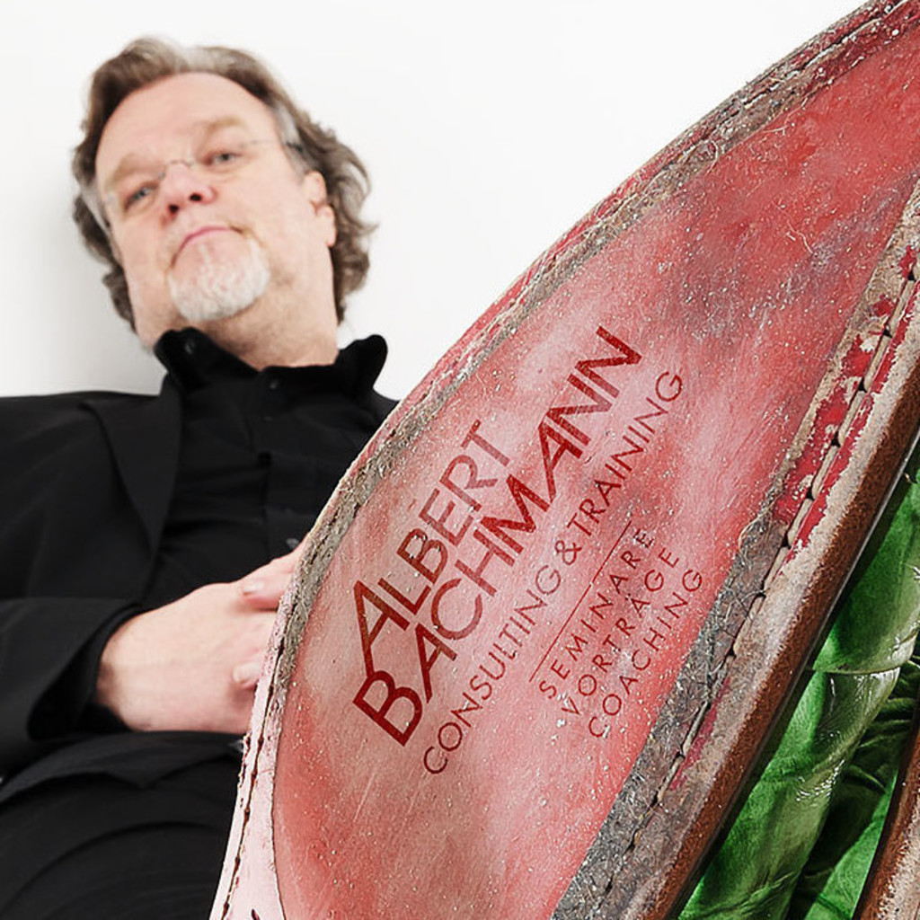 Albert Bachmann - Inhaber - Albert Bachmann Consulting & Training | XING