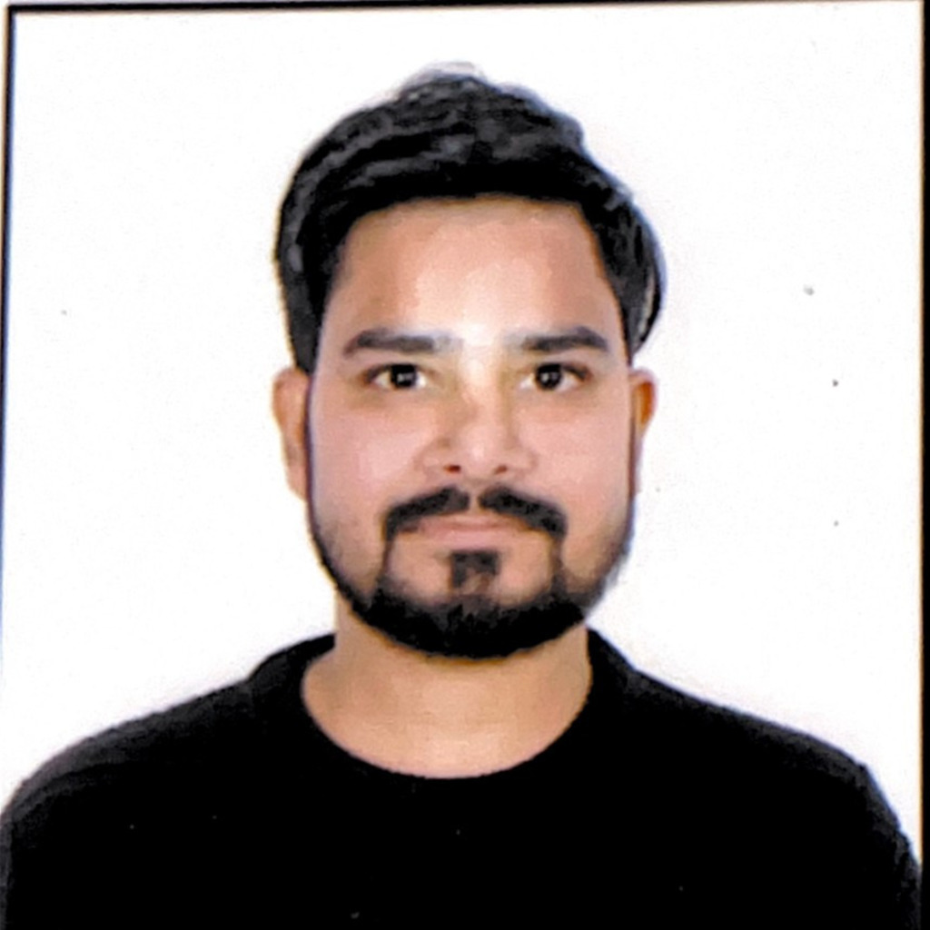 Pushank GUPTA - Python developer - Pushank Gupta | XING