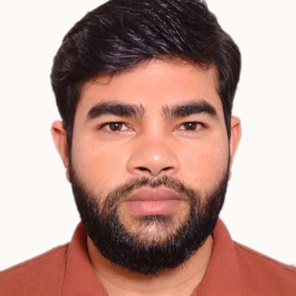 Ankur Chauhan - SAP Consultant - Ernst & Young | XING