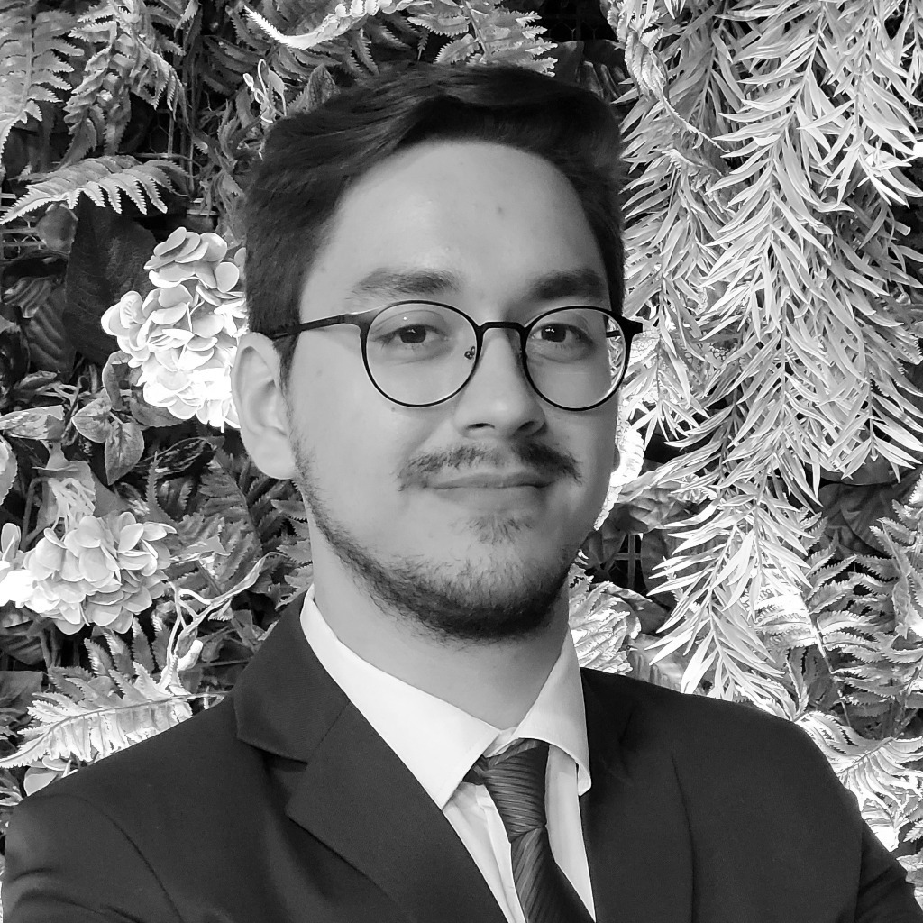 Henry Fadoni - Senior Full-Stack Developer - Apollo21 | XING