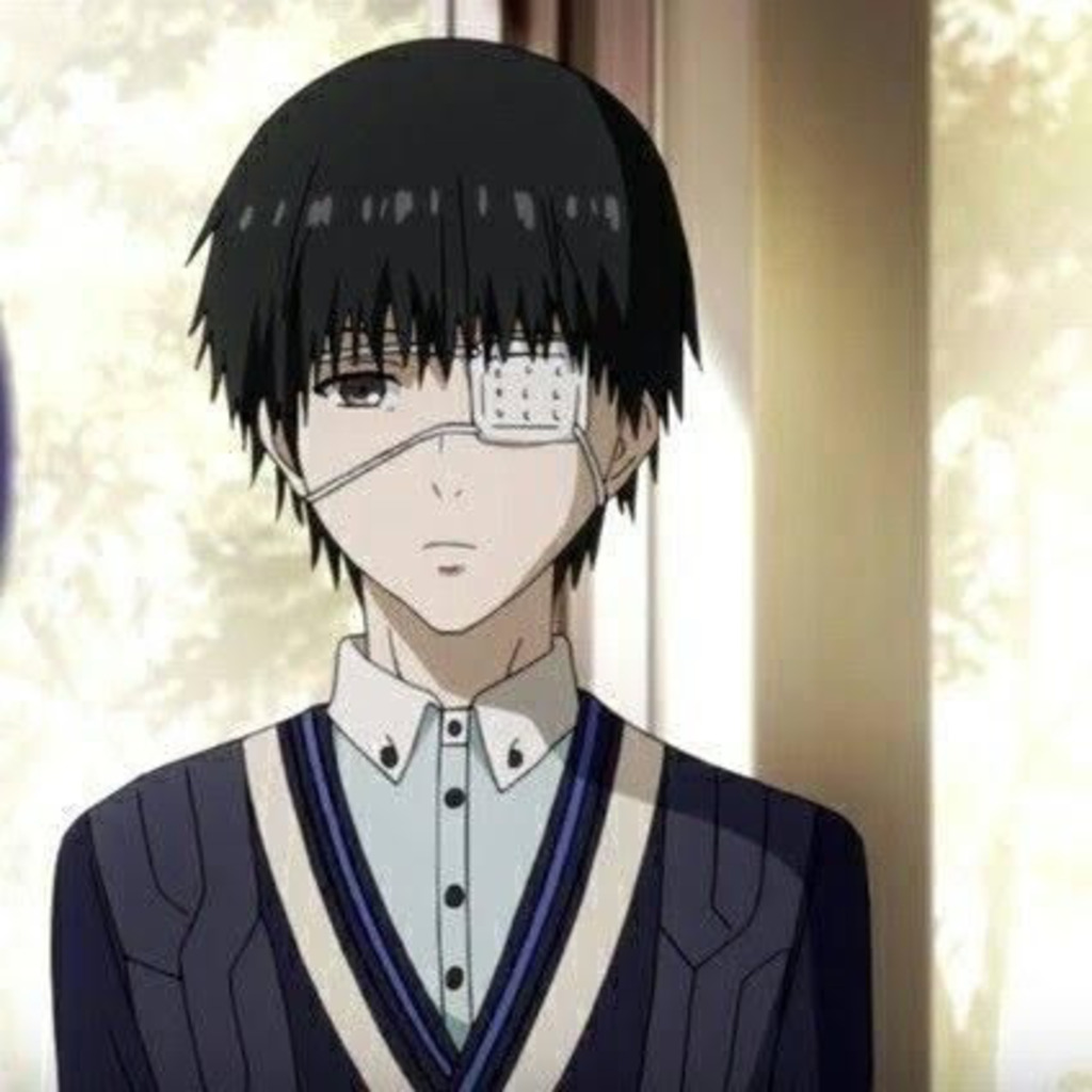 Mudasir Ali - Web Developer - Freelance Company | XING