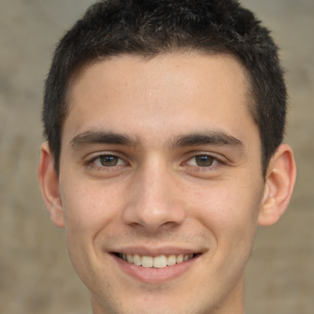 Theo Sigur - Software Developer - Freelancer | XING