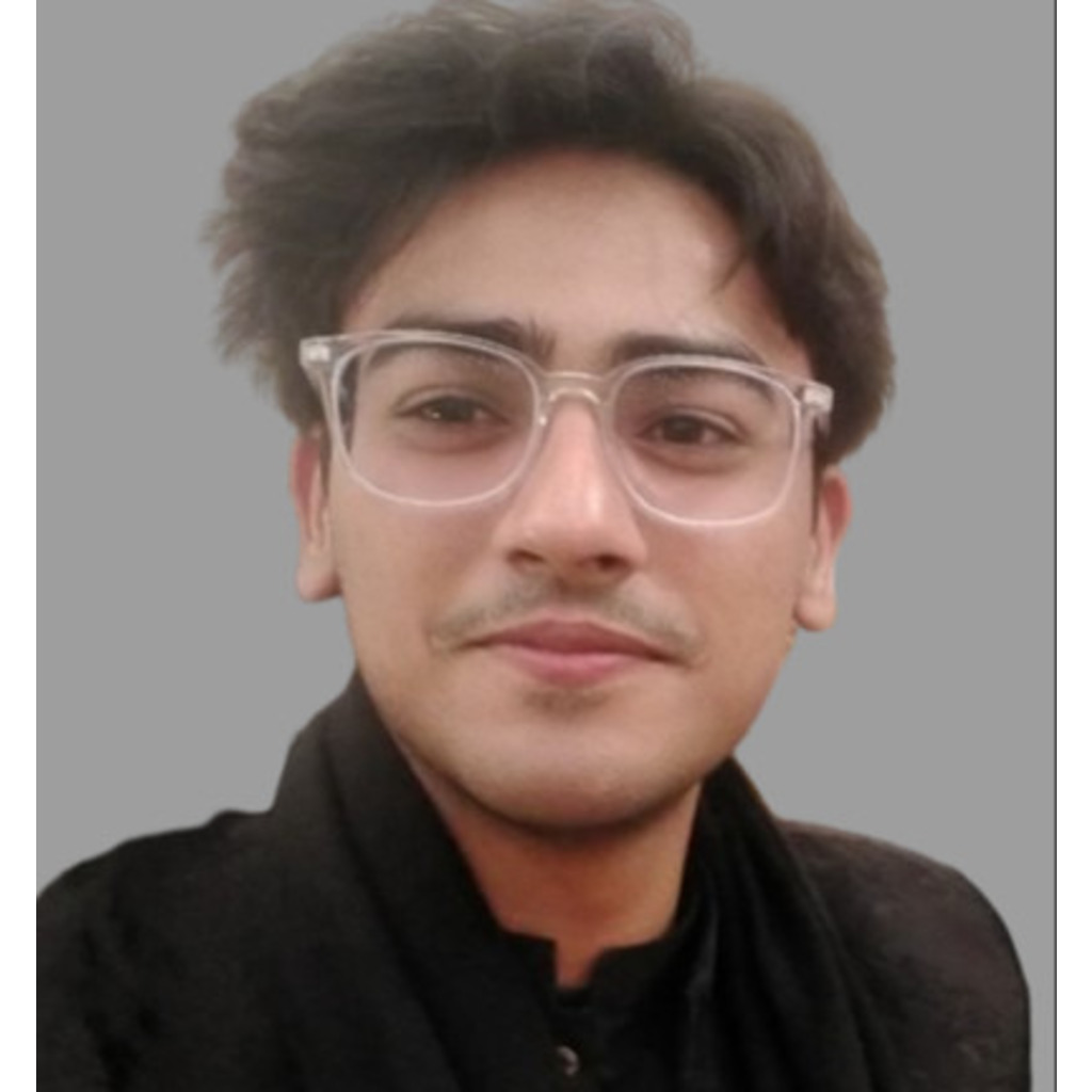 Hassan Mehmood - Fullstack Developer - sleet | XING