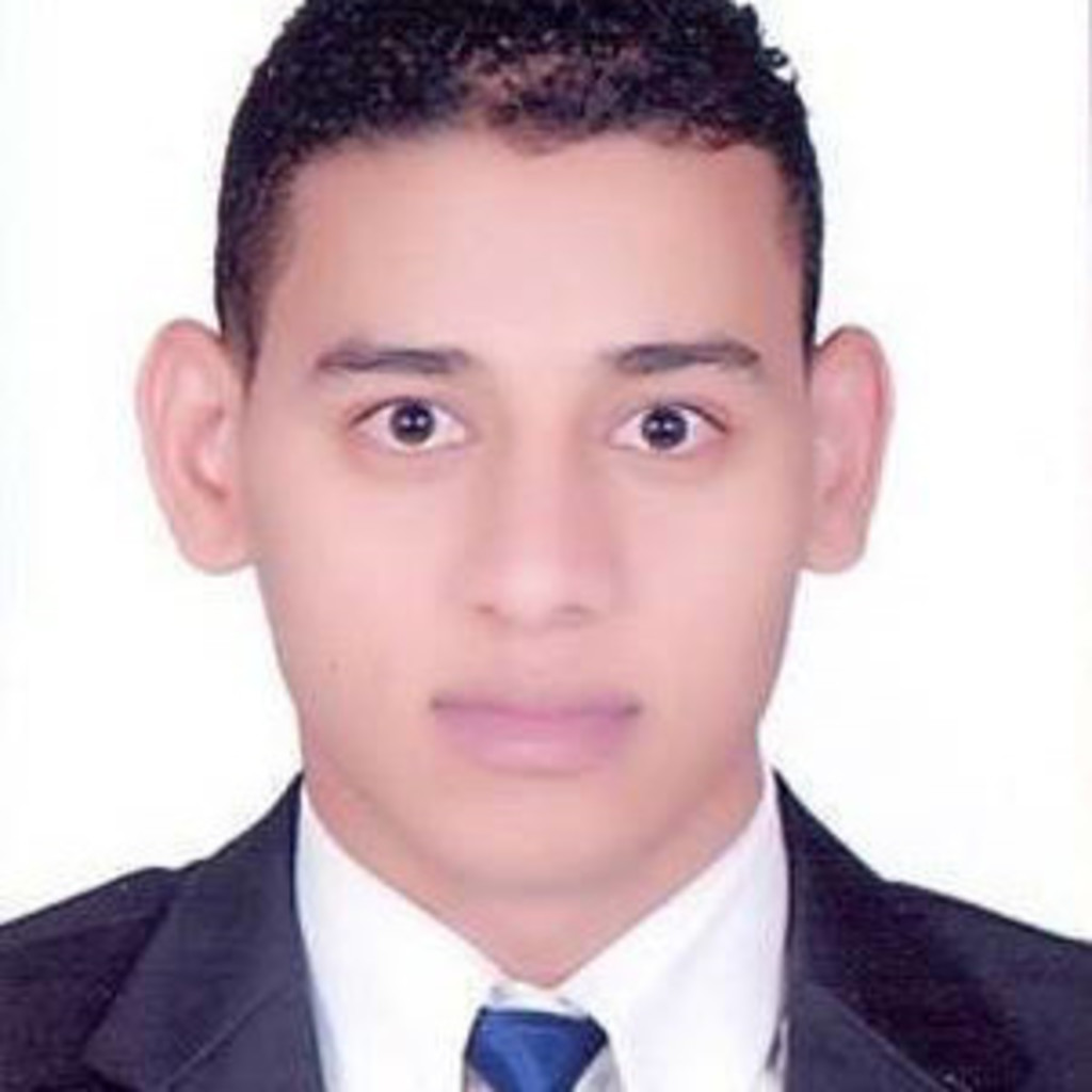Fouad Mahmoud - Section Head - Audi bank | XING