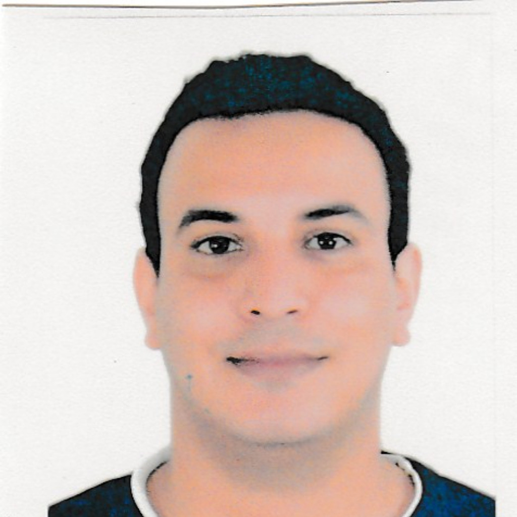 Ing. Sami Abidi - Web Developer - san s.a. | XING