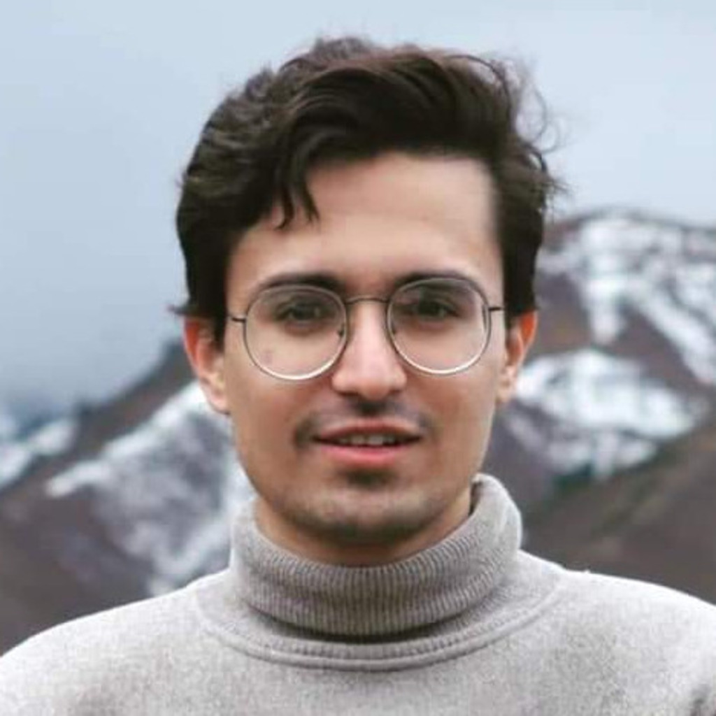 Aamir Khan - Software Engineer - MoonBaby Labs | XING