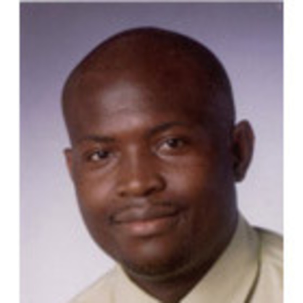 Dipl.-Ing. Roger Luc Bomba Zibi - Stellvertretender IT- Leiter ...