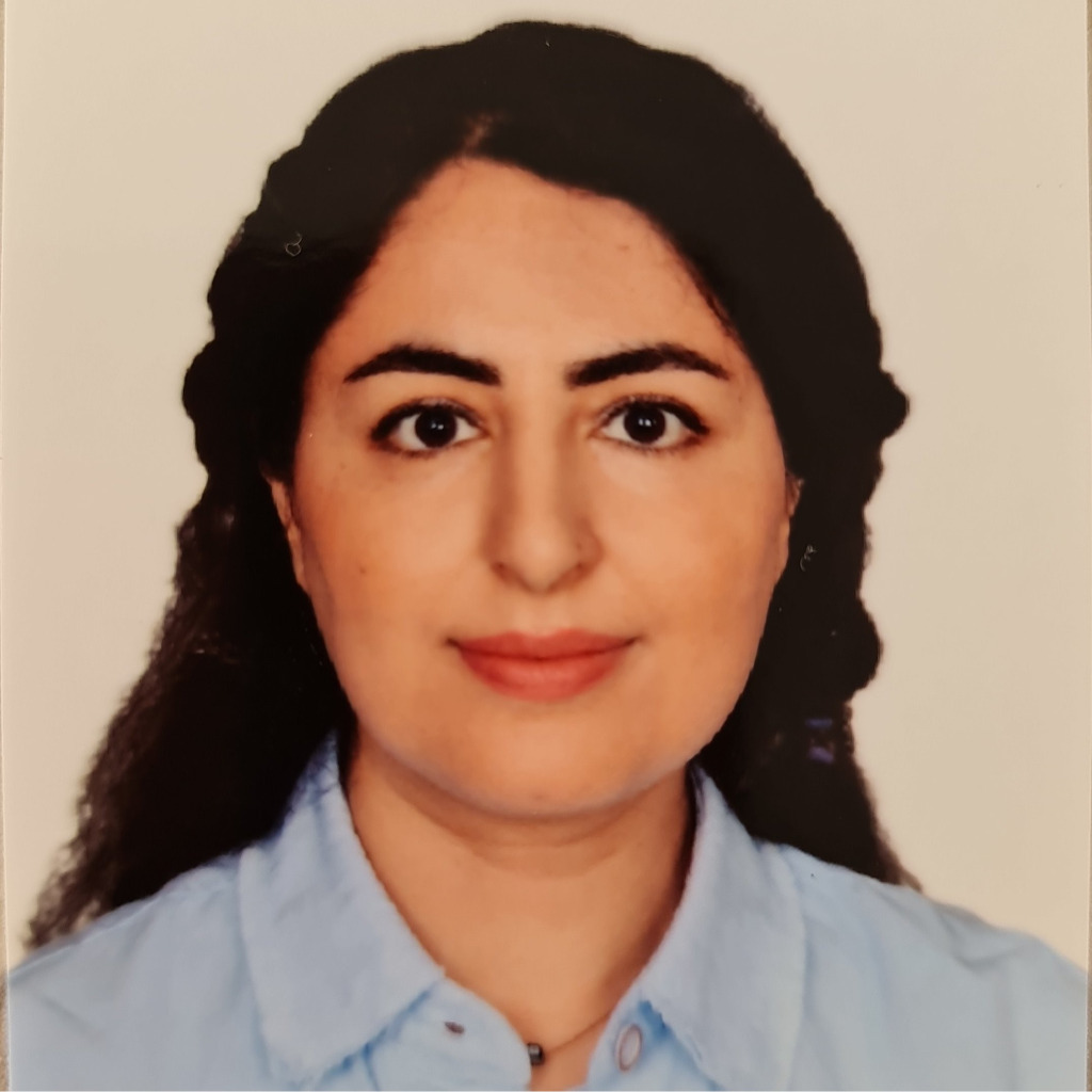 Azar Arghavanian - Postdoctoral Researcher - Max Planck Institute for ...