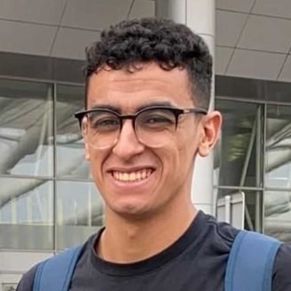 Assem Ismail - Automation Engineer - BVS | XING