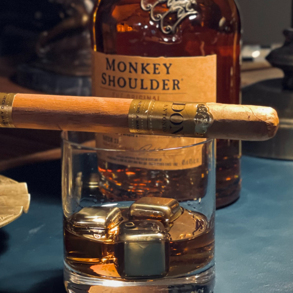 emaa sy - SEO Specialist - jozeff | XING