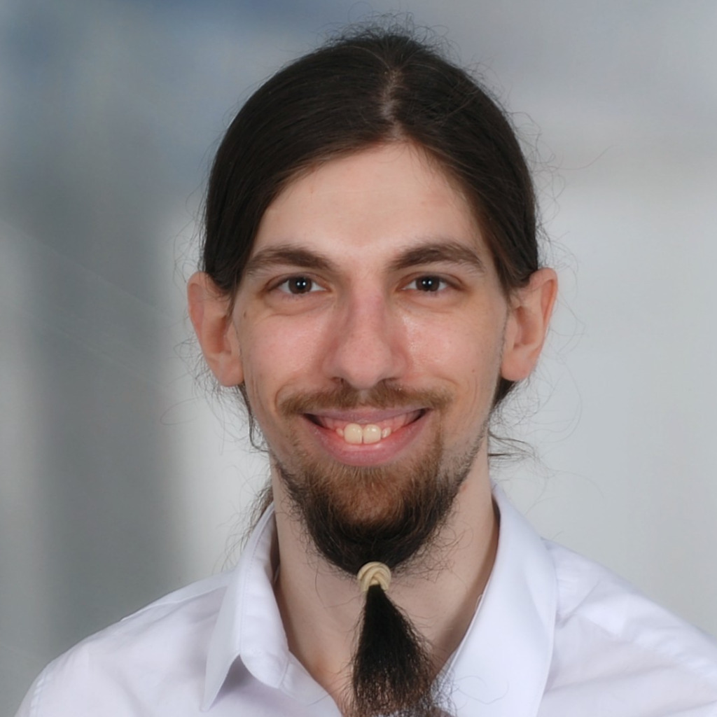 Noah Ditzler - Software Developer - SaJo Consulting | XING