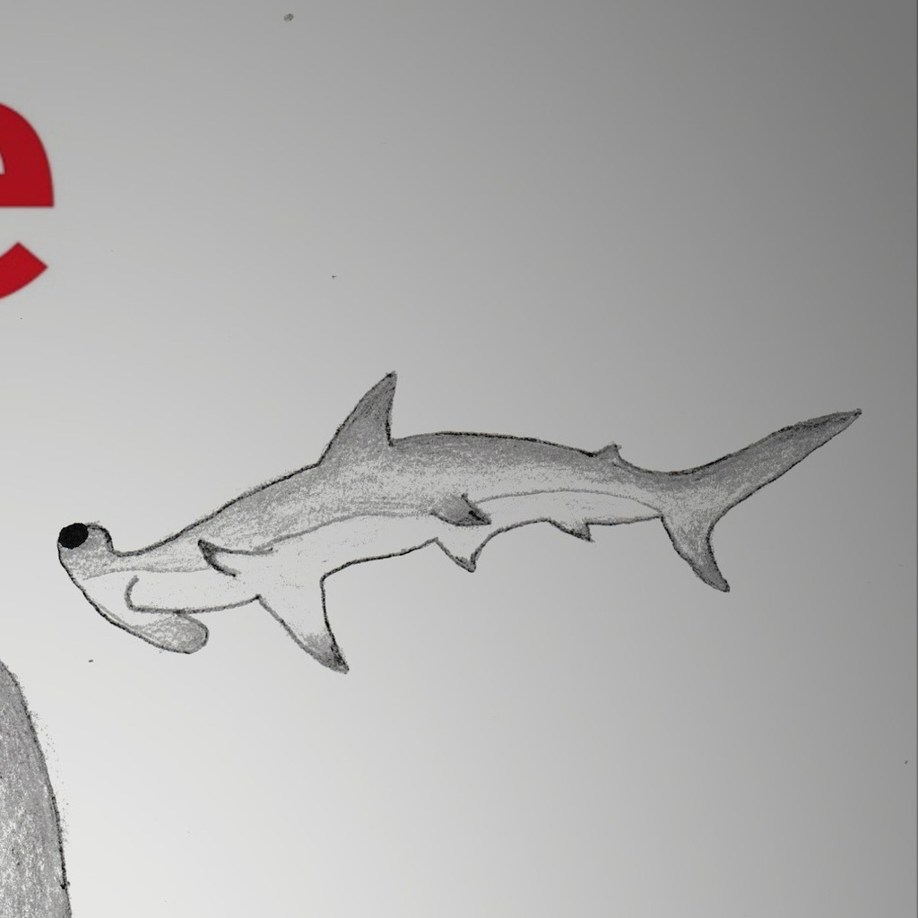 Max Exner - Elektriker - HanseYachts, aber jetzt nicht mehr | XING