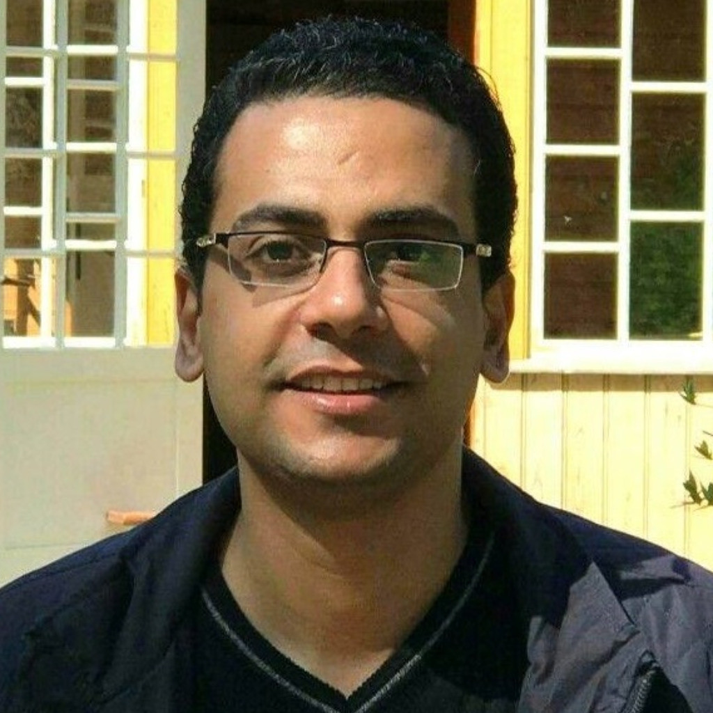 Michael Samir - Senior Programmer Analyst - Accenture | XING