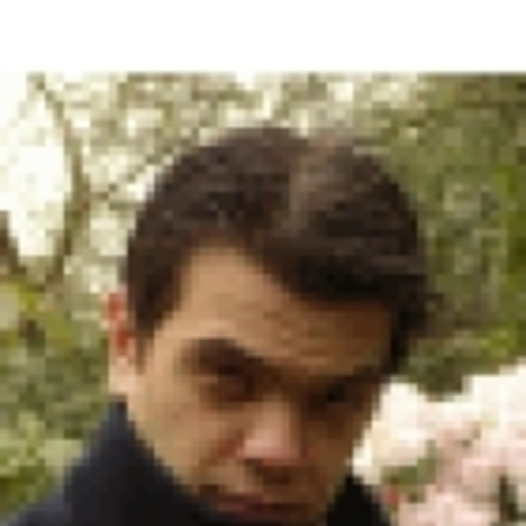 Milen Angelov - IT Architect - IBM Bulgaria | XING