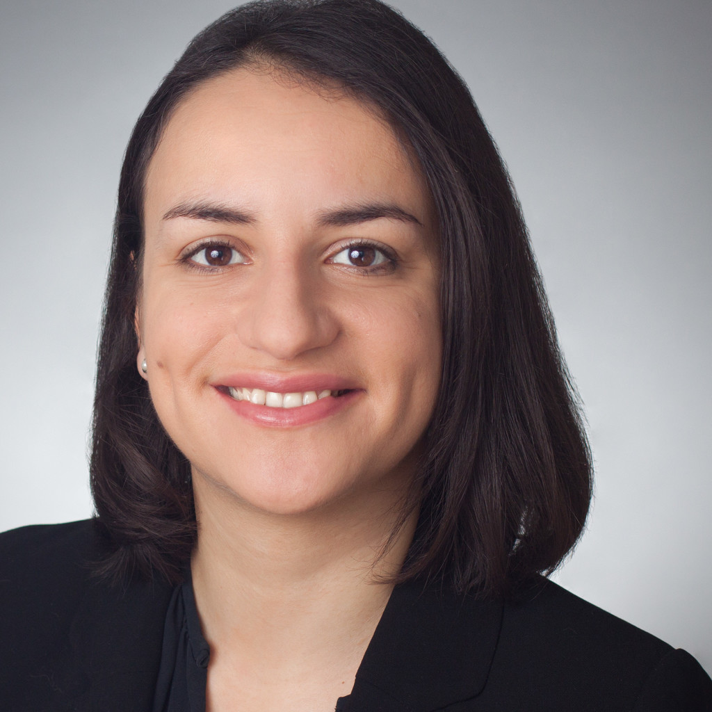 Dr. Anastasia Bertini - Wissenschaftliche Beraterin - VDI/VDE ...