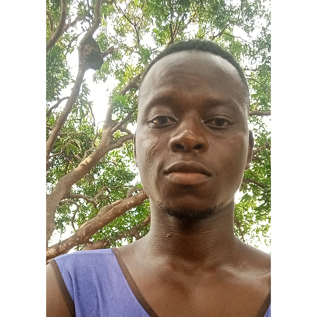 Richard Boak-ya - Teaching - Ghana Education Service | XING