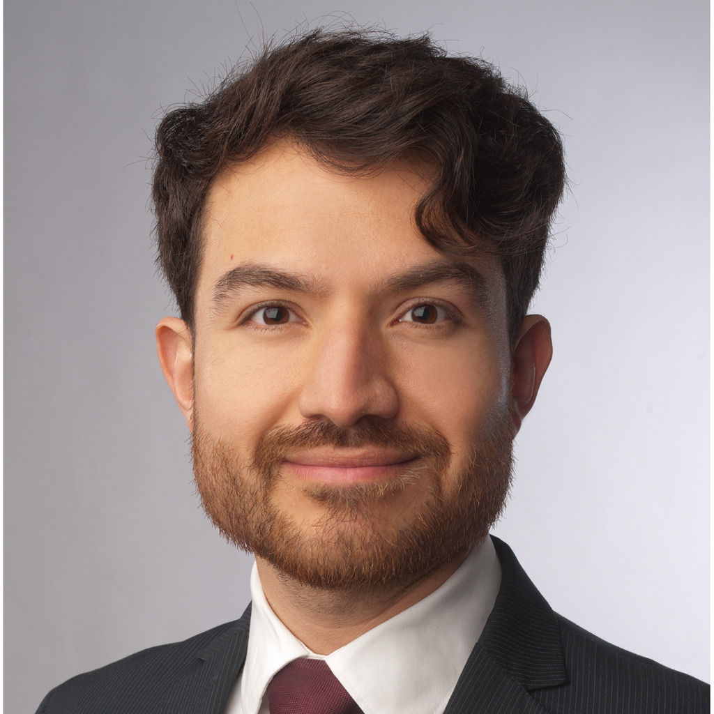 Daniel Borunda - Digitalization & BI Specialist - Megatech Industries ...