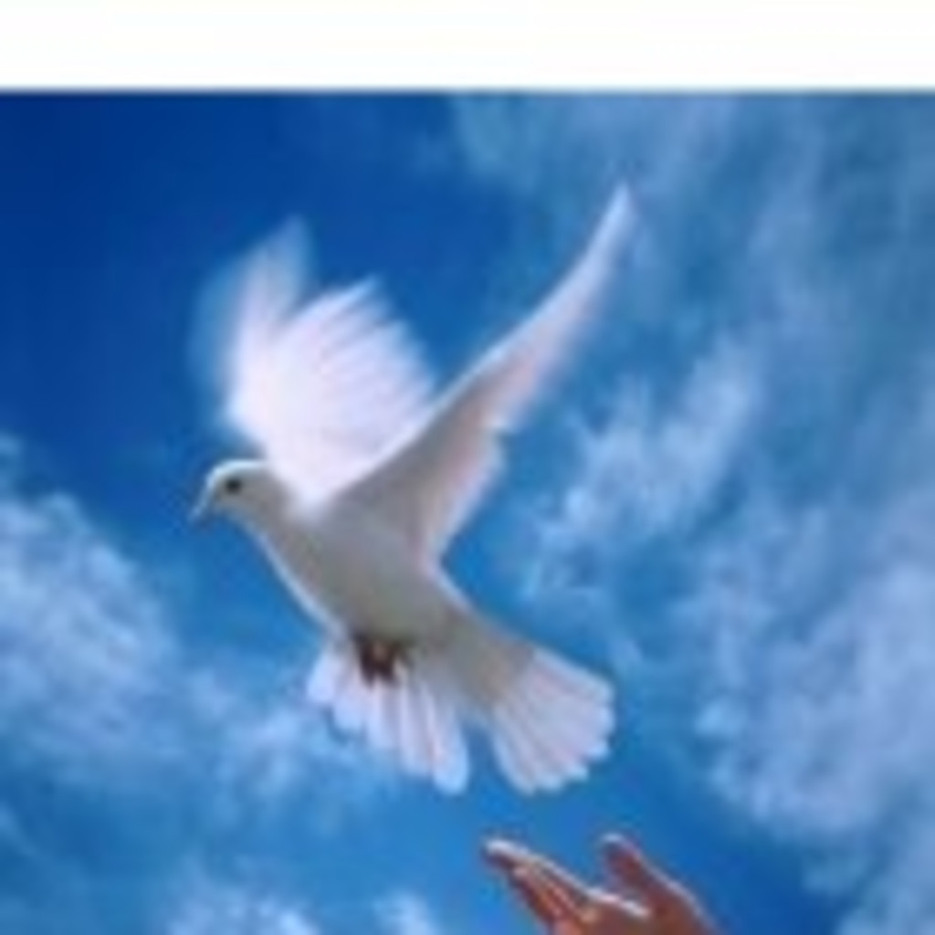 Simon Docker - Cognitive Behavioural Therapist - S.M.D Counselling ...