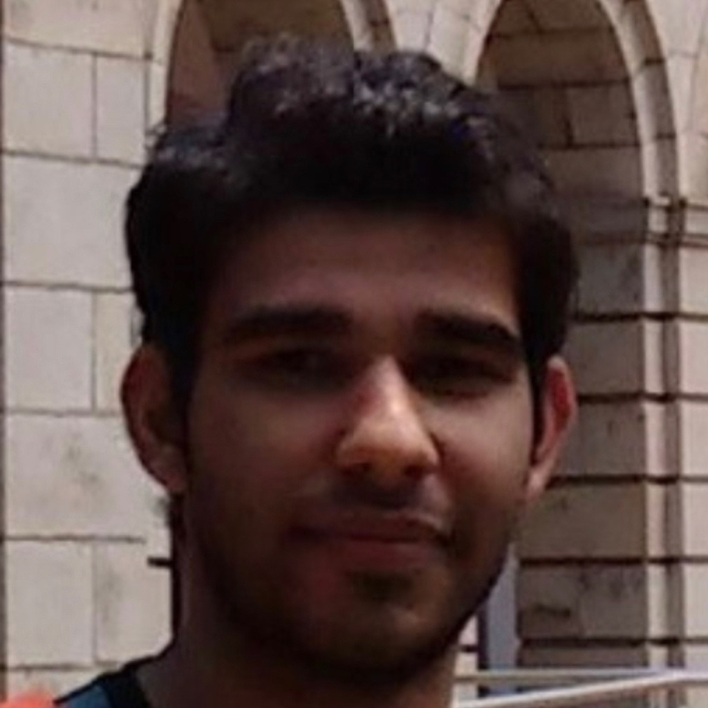 Sachin Raina - Daya Scientist - EY (Ernst & Young) | XING