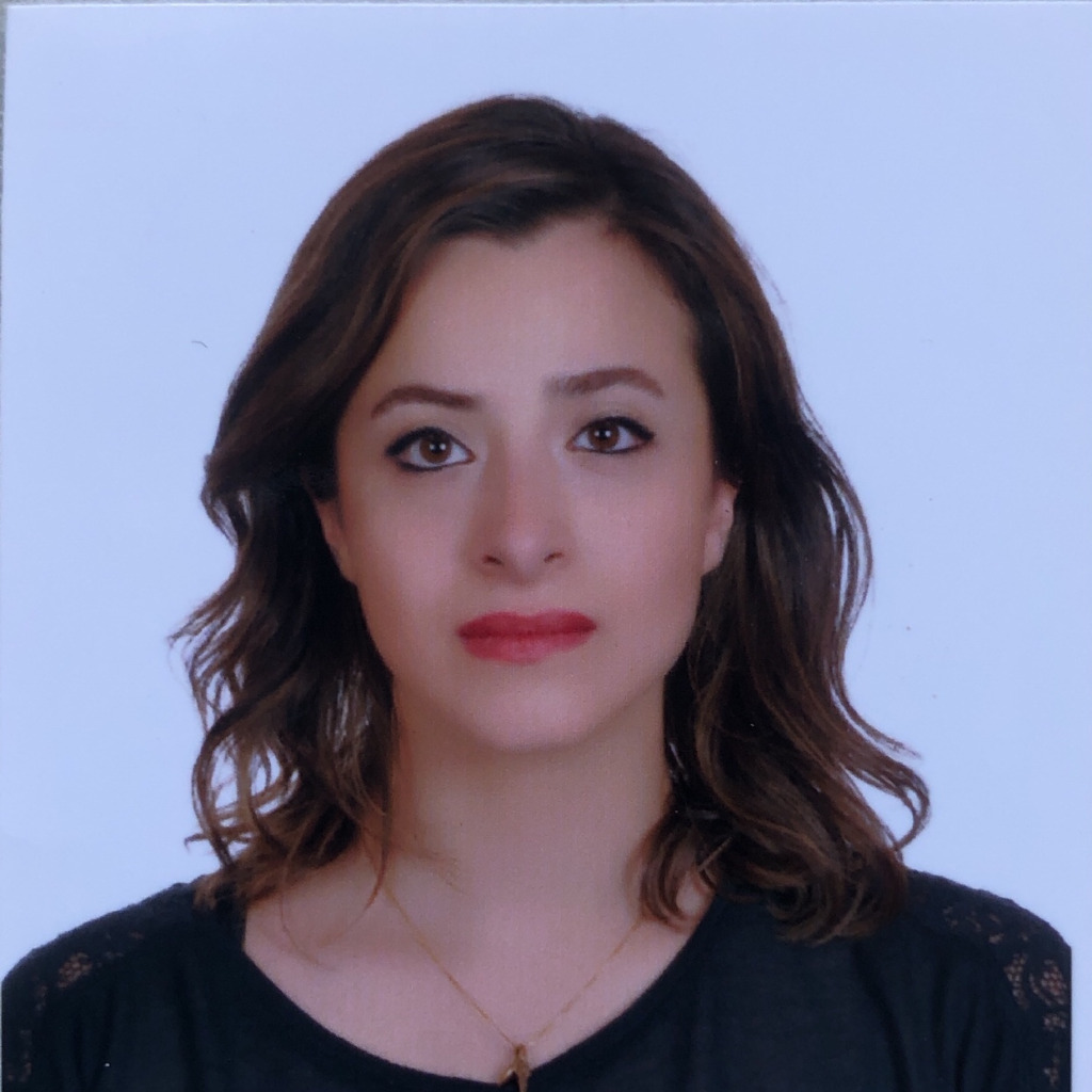 Leila Balali - Canada Department Counselor - Nilgam Safar Holding | XING