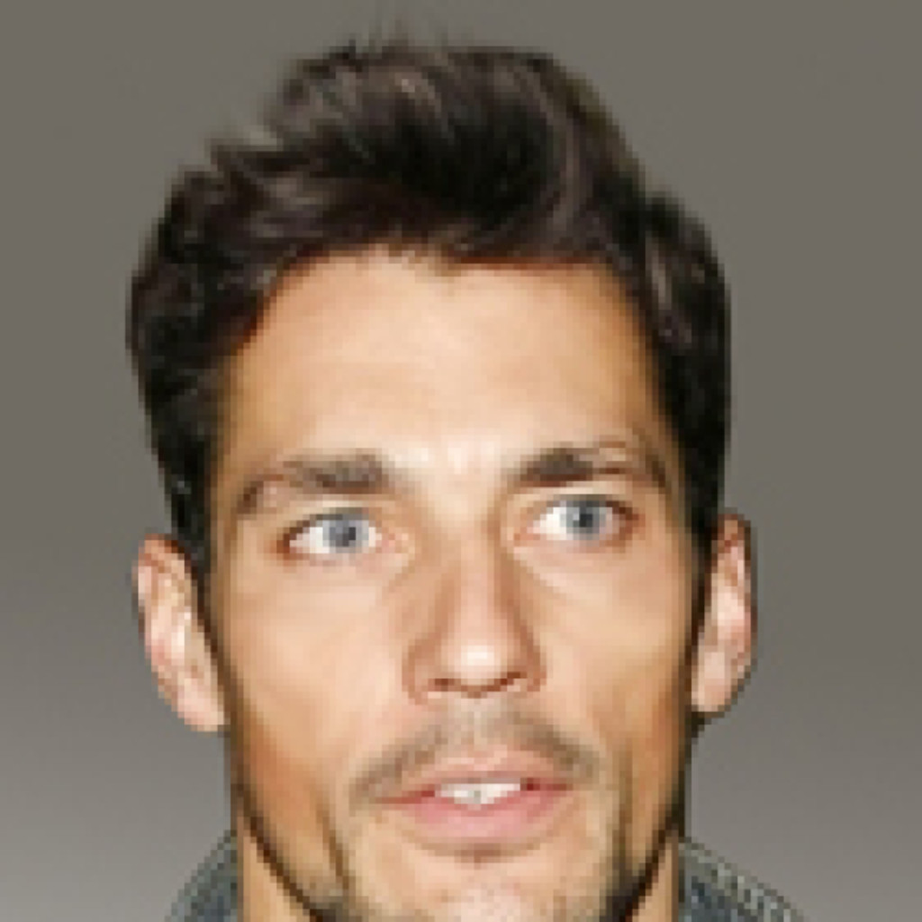 Steve Davis - CEO - Davis Fashion | XING