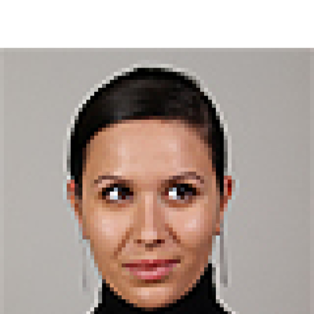 Maria Georgieva - Marketing, Knowledge Sharing and Internal ...