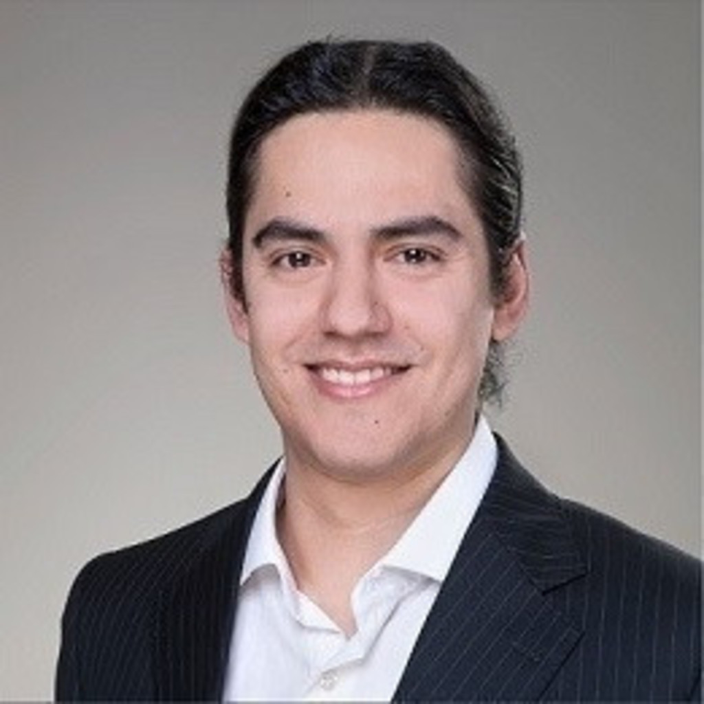 Guillermo Tapia - Software Engineer/Consultant - AUSY | XING