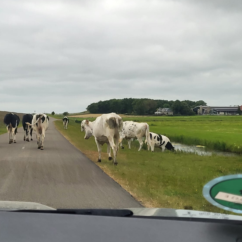 Alexandra Langreck - Technical Lead - ITERGO Düsseldorf | XING