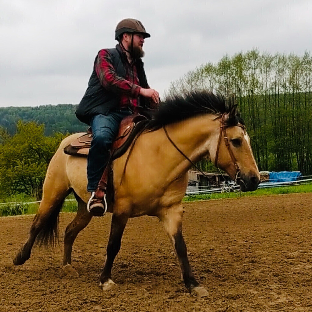 Michael Franek - Betriebsleiter - liquid-schmiede GmbH | XING