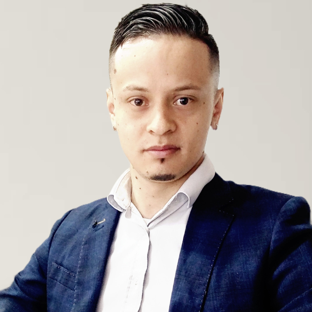 Prof. Harley Abril Vidal - Desarrollador Web - HASYSTEM | XING