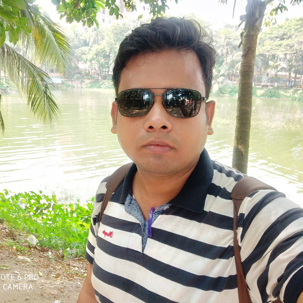Shantaw Roy - Freelance Writer - Digital Marketing Solution Pvt. Ltd | XING