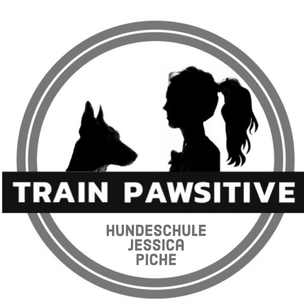 Jessica Piche - Hundetrainerin - Hundetraining Train Pawsitive | XING