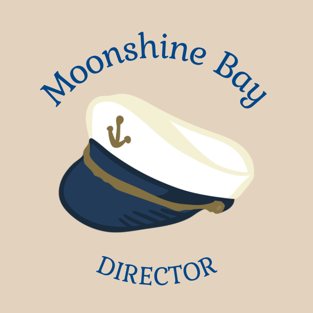 Roi Levin - Director - Moonshine Bay | XING