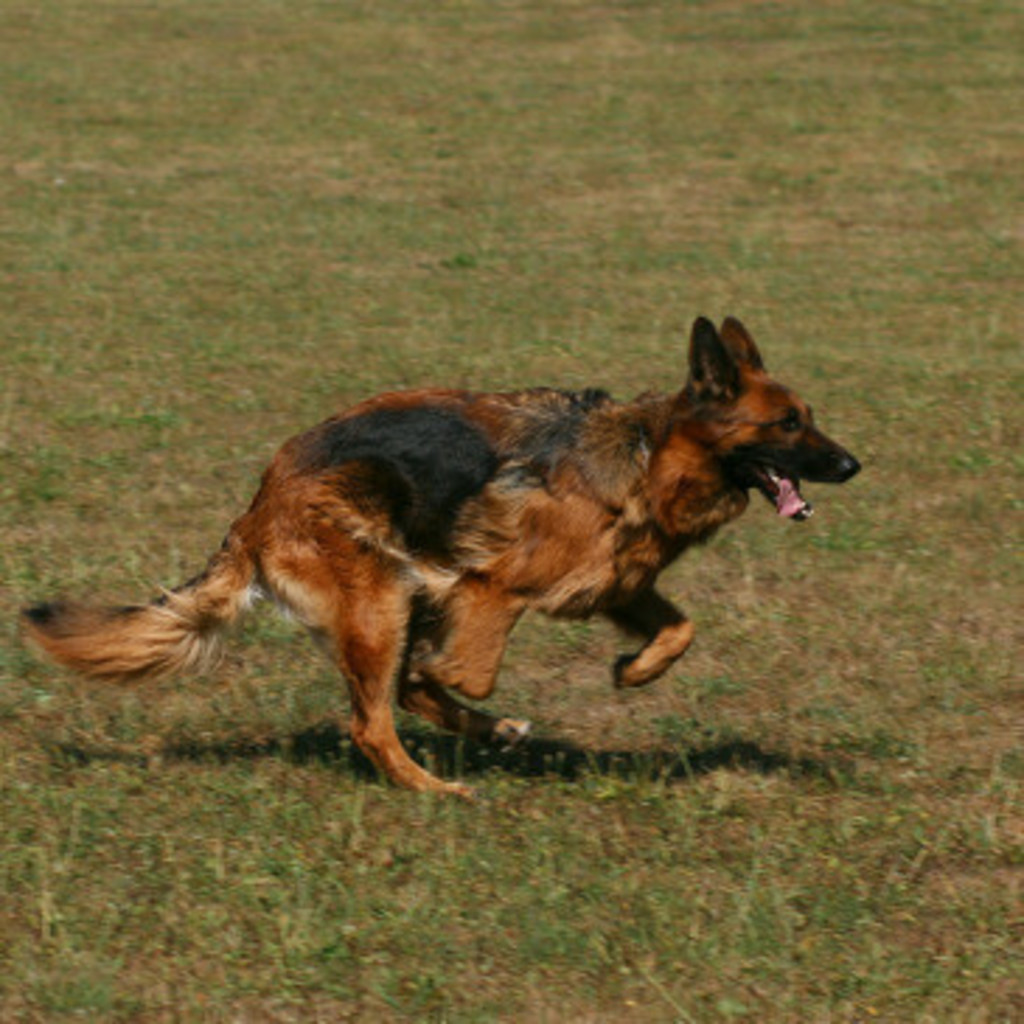 Harald Neubauer - Patient - Warteschleife | XING