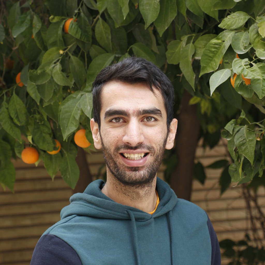 Mohammad Mirbagheri - Senior Software Engineer - Logiico | XING