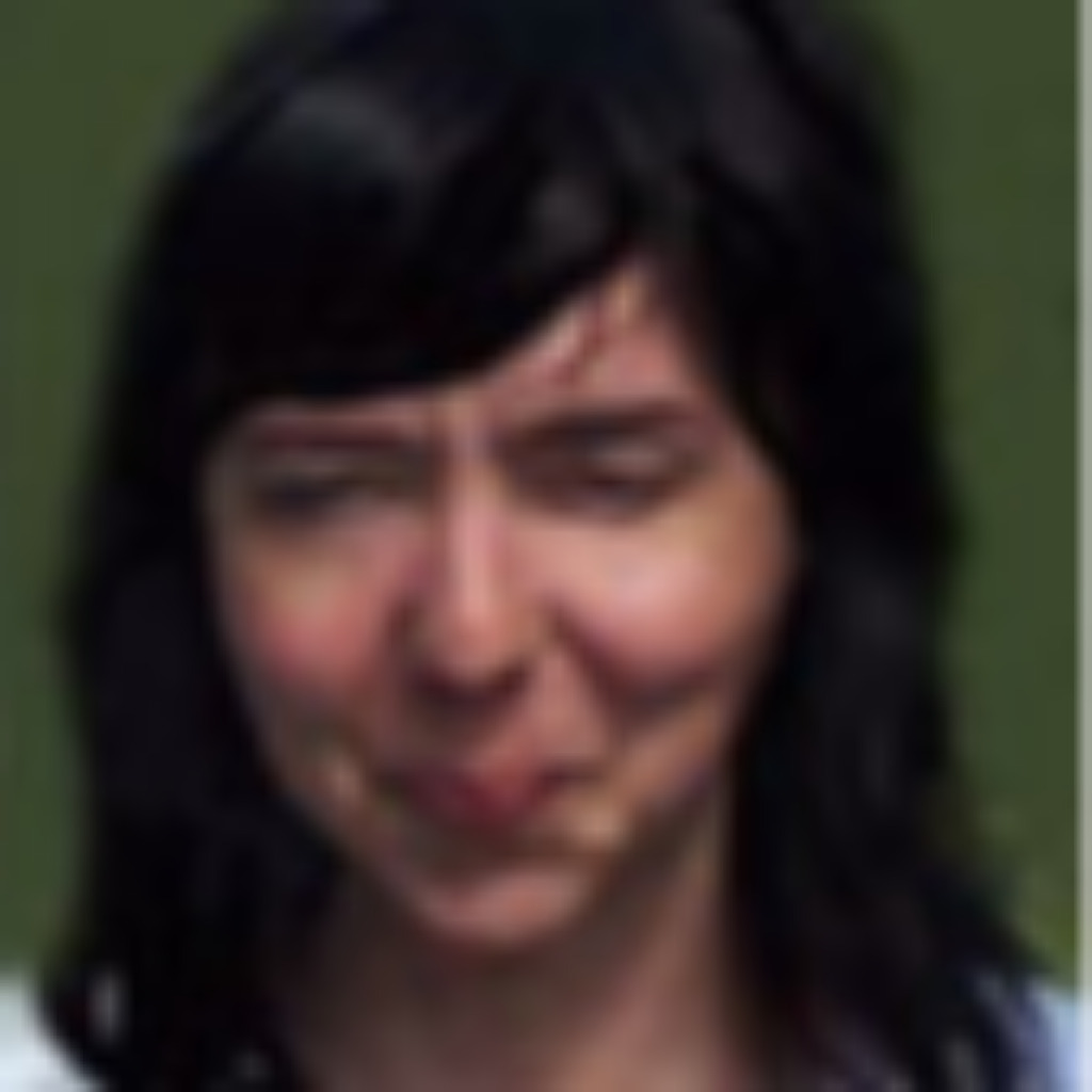 Anja Dahlmann: Ausbildung und Berufserfahrung | XING