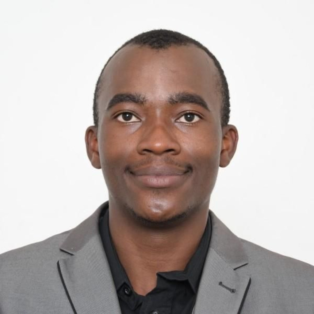 Friis Peter: Ausbildung und Berufserfahrung | XING